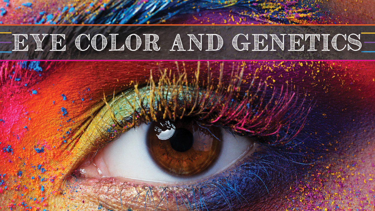 Eye Color & Genetics - Blink Eyecare